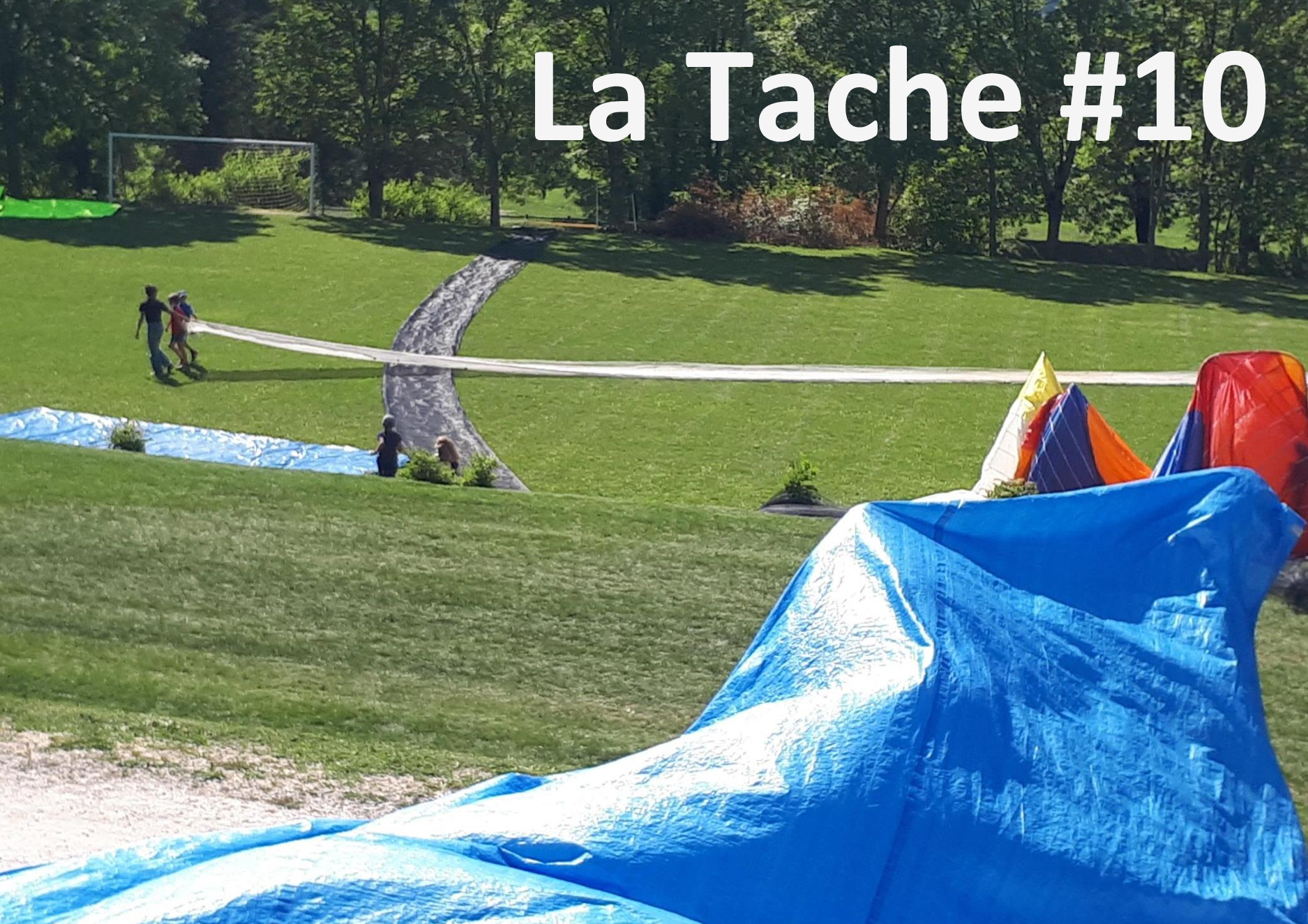 La Tache – . Plasticienne .Intervenante pédagogique
